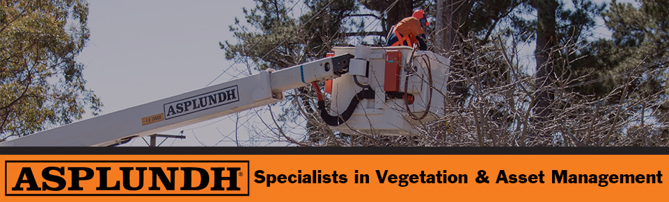 Asplundh