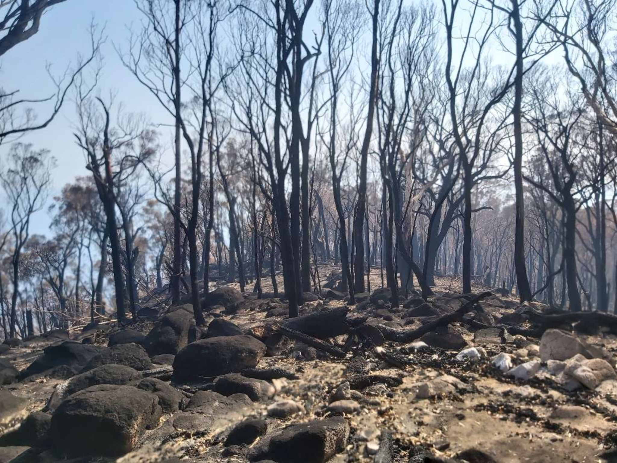 Areas of Concern (Bushfire Preparation and Preparedness) – Volunteer ...
